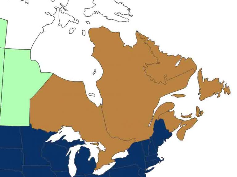 Contact | Gospel Echoes Team Prison Ministry